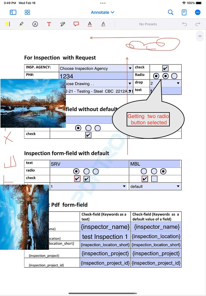 Radio button data is not loading correct when importing XFDF into PDF - Apryse SDK - Apryse ...