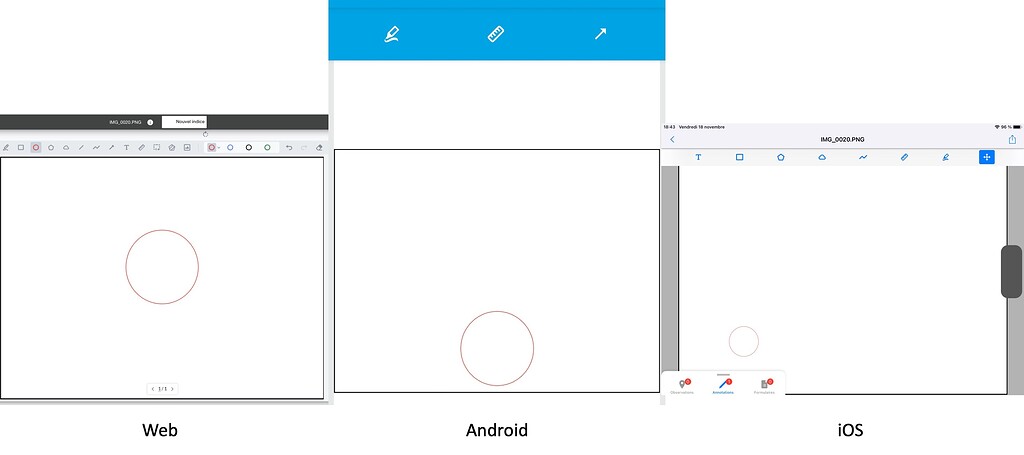 Annotations Not Displaying Consistently On Web Ios And Android When Image Is Displayed In