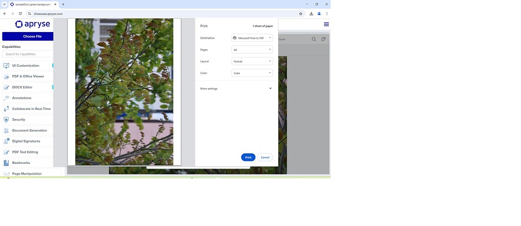 Issues With Print Functionality On Web Viewer Apryse Sdk Apryse